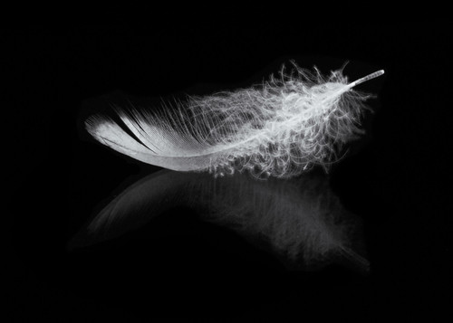 Joyce Pearson - Light as a Feather | gfaa