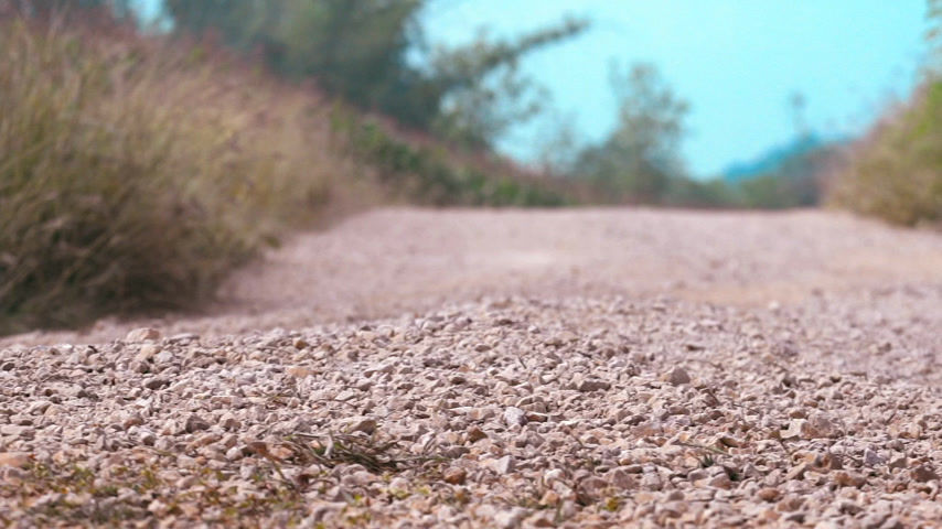 HOME | BDH Racing Simulator Hardware