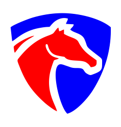 Security Service Company | Stallion Security