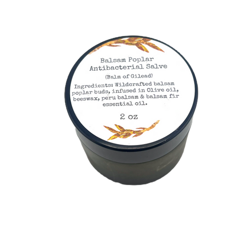 Balsam Poplar Antibacterial Salve | Rabbit Bird & Bear