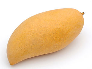 MANGOS | Tampa Tropical Asian