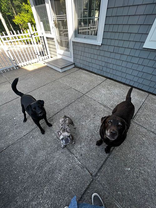 Book Services | Mysite