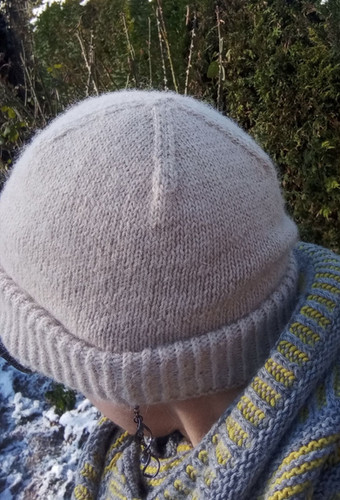 Andy Hat | Ivicréas