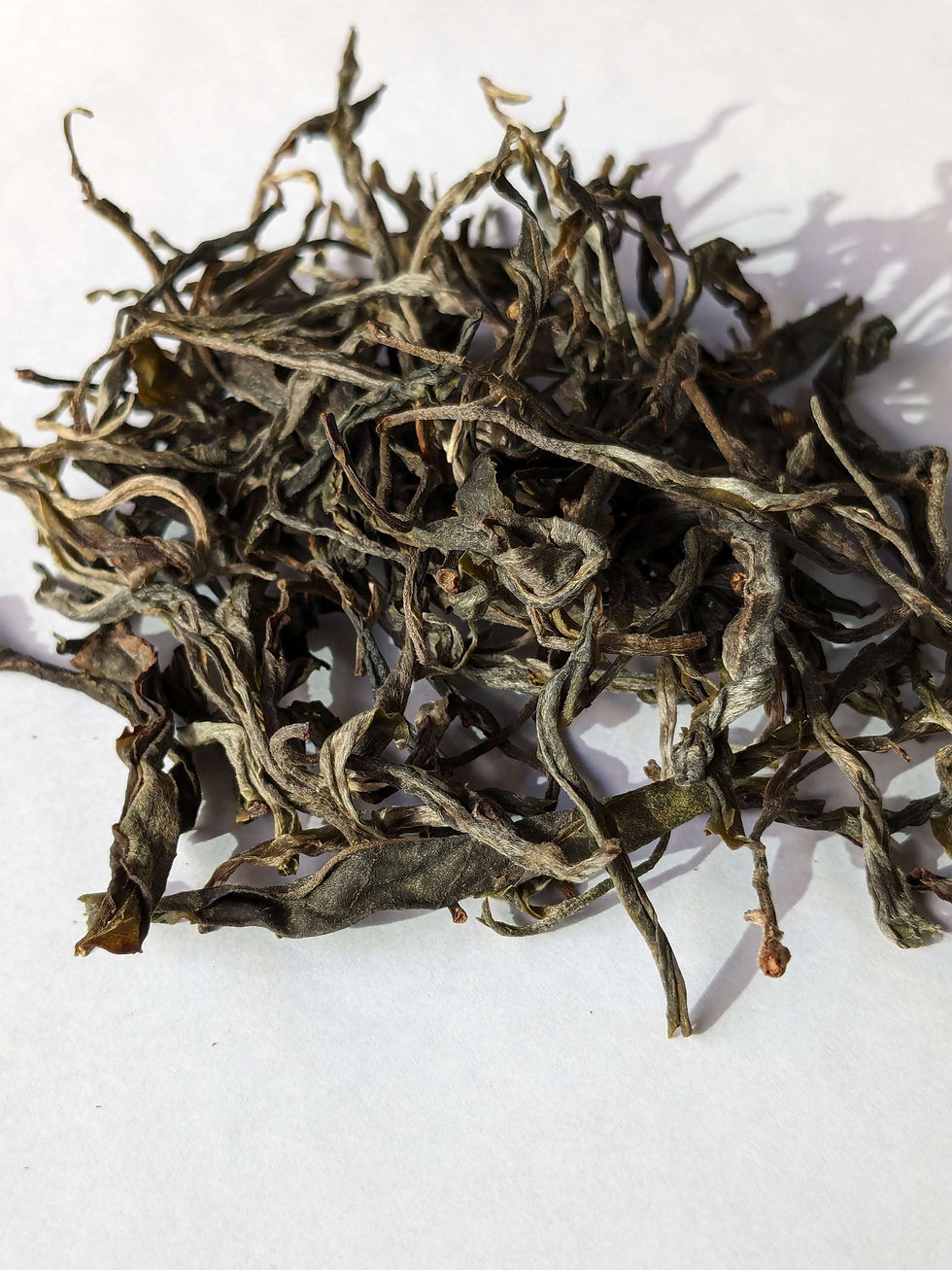 Yiwu Mountain Tea | 易武高山友益茶坊 | Yiwu | China, Yunnan, Mengla, 易武真 | Puer Tea