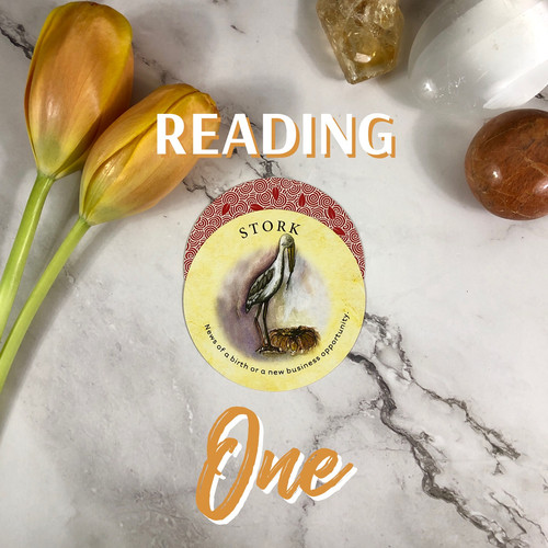 Reading One Aries Season 2025 | TheSpiritExperience