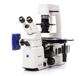 Inverted Microscopes | Indigo Scientific