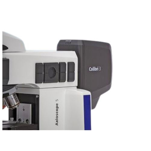 ZEISS Colibri 3 Microscope Illumination | Indigo Scientific