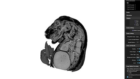 High-Resolution Episcopic Microscopy (Optical HREM): Imaging System for ...