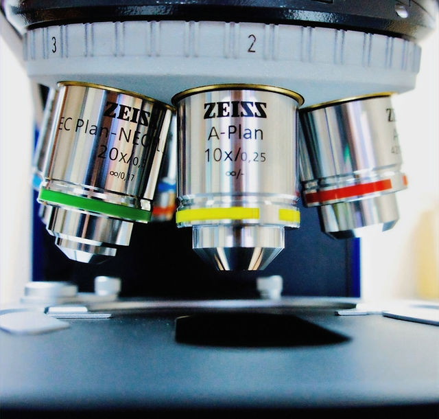 zeiss microscopy uk