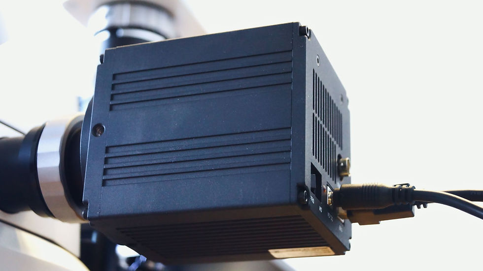 FL20BW | Microscope Cameras