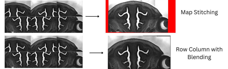 Free Stitching Tool for Microscope Images | Indigo Scientific