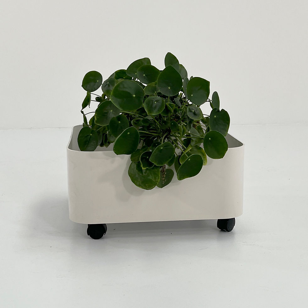 NEW IN | KOOLOO MODERN 4/5
