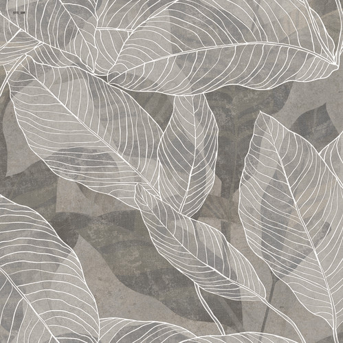 Laila Moss | Interactive Catalog