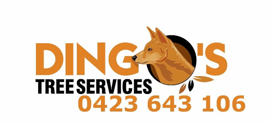 Home | Dingos tree services