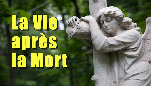 La Vie après la Mort | Dawn Bible Students
