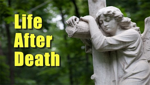 Life After Death | Dawn Bible Students