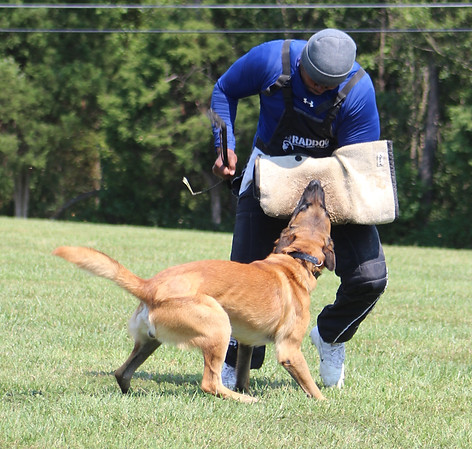 Marcus Hampton | Podium SchH Club