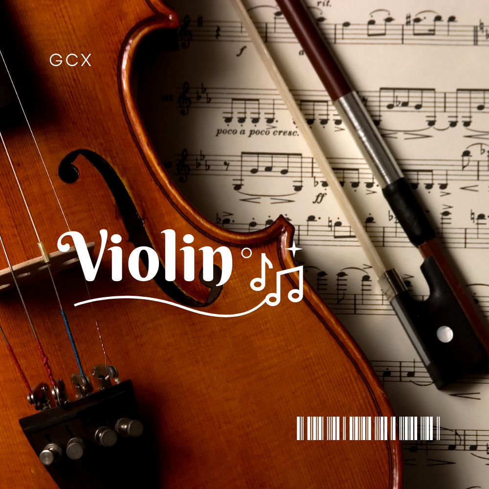 Purchase Violin Dataset
