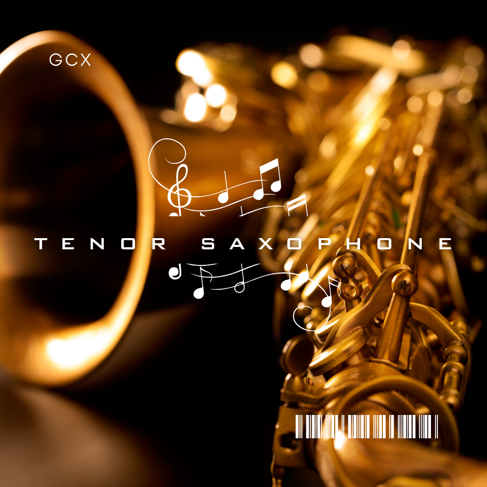 Purchase Tenor Saxophone Dataset