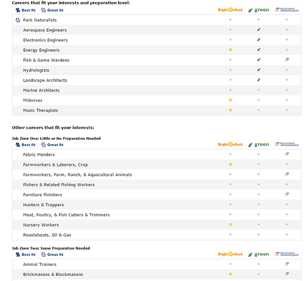 ONet Interest Profiler | story-of-my-life