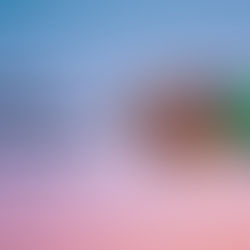 Candy pads | Manufacturer | Michael Package