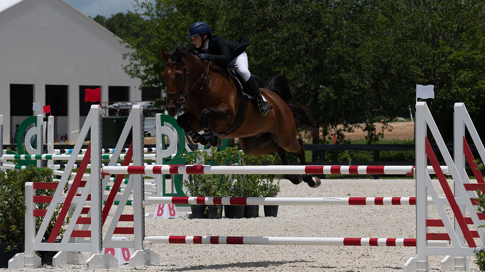 Home | Serenity Stables Equestrian Center