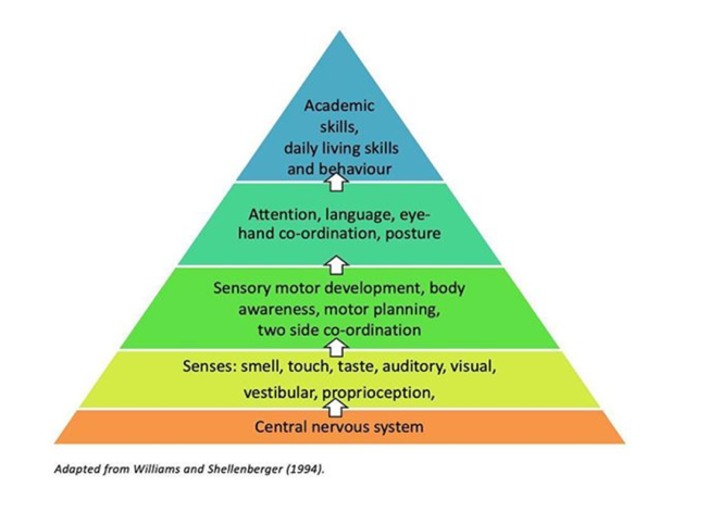 Noise Sensitivity in Children with Autism Spectrum Disorder: How Can ...