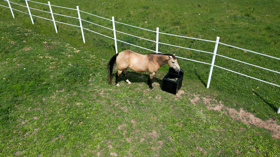 Haycube USA LLC | Hay Soaker & Slow Feeder | New Jersey, USA