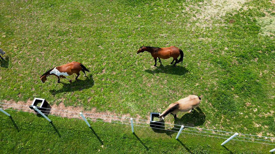 Haycube Ltd | WEIGHT MANAGEMENT | Leicester, UK