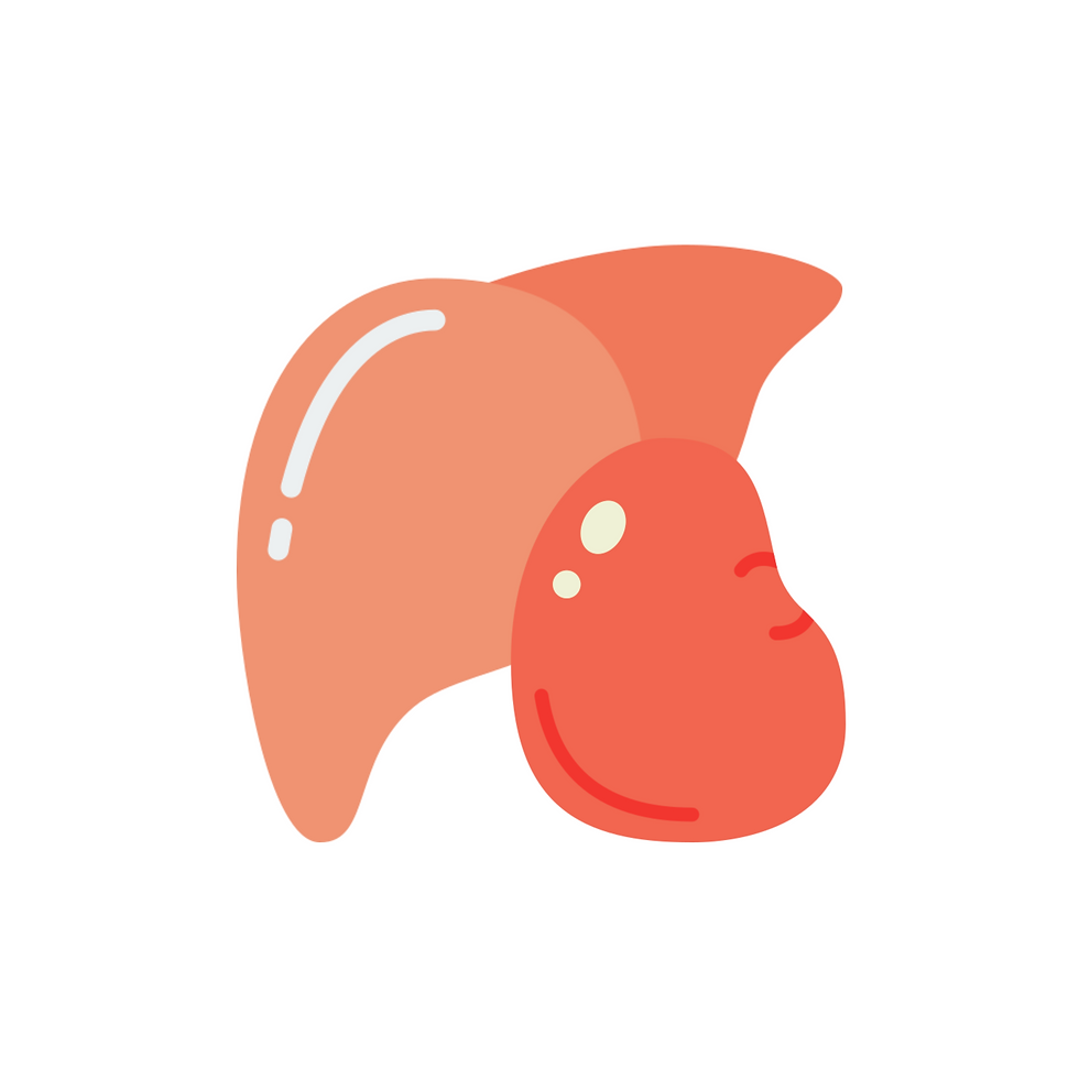 Lamb Organs | Red Barn Family Farm