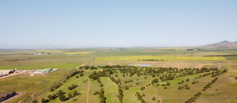 Join Darling Sport Club: Become a Member Today!