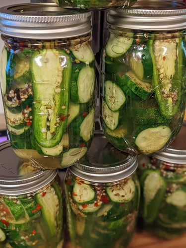 Spicy Dill Pickle Chips | The Mason Jar - Cann