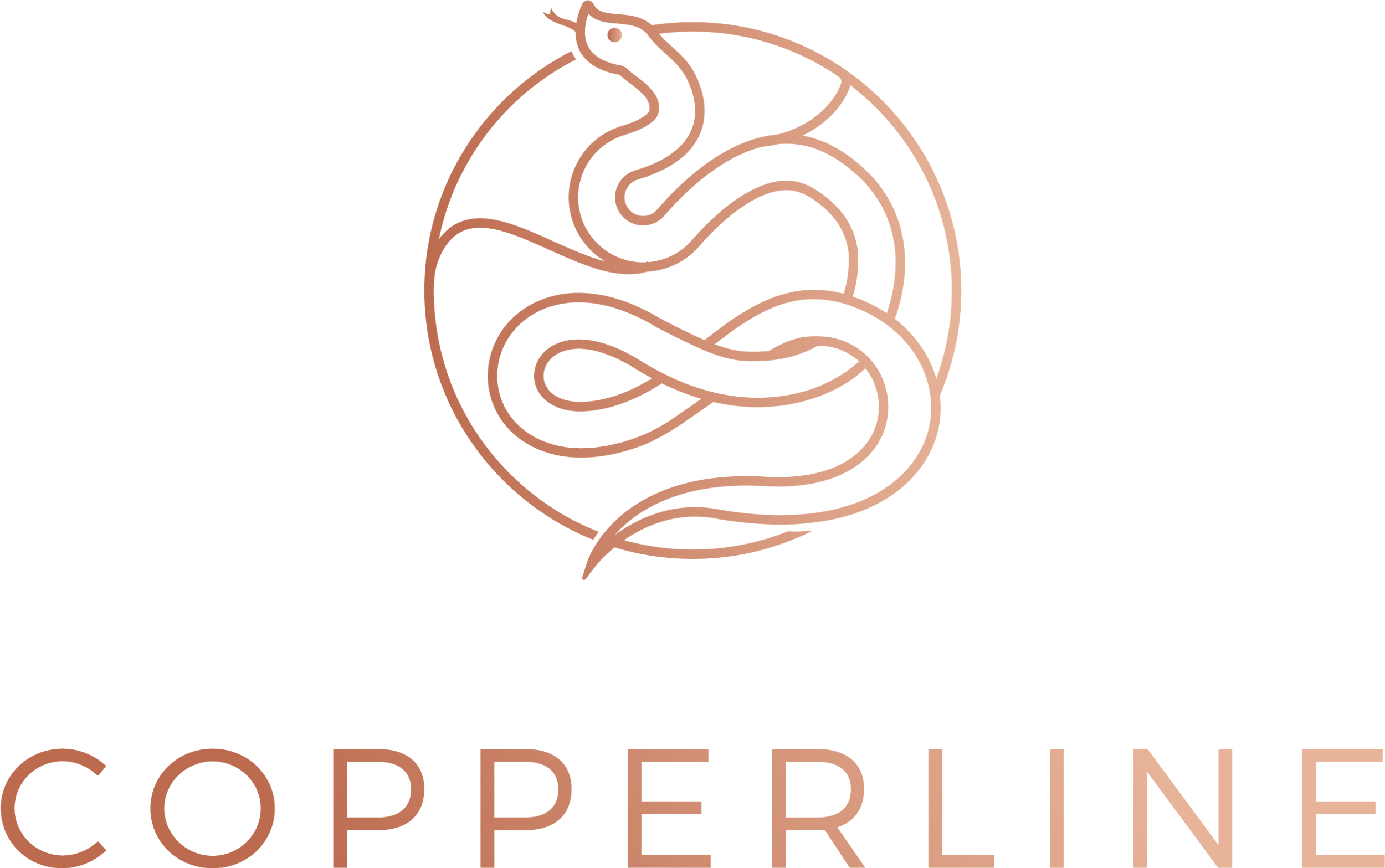 HOME | Copperline Music Group