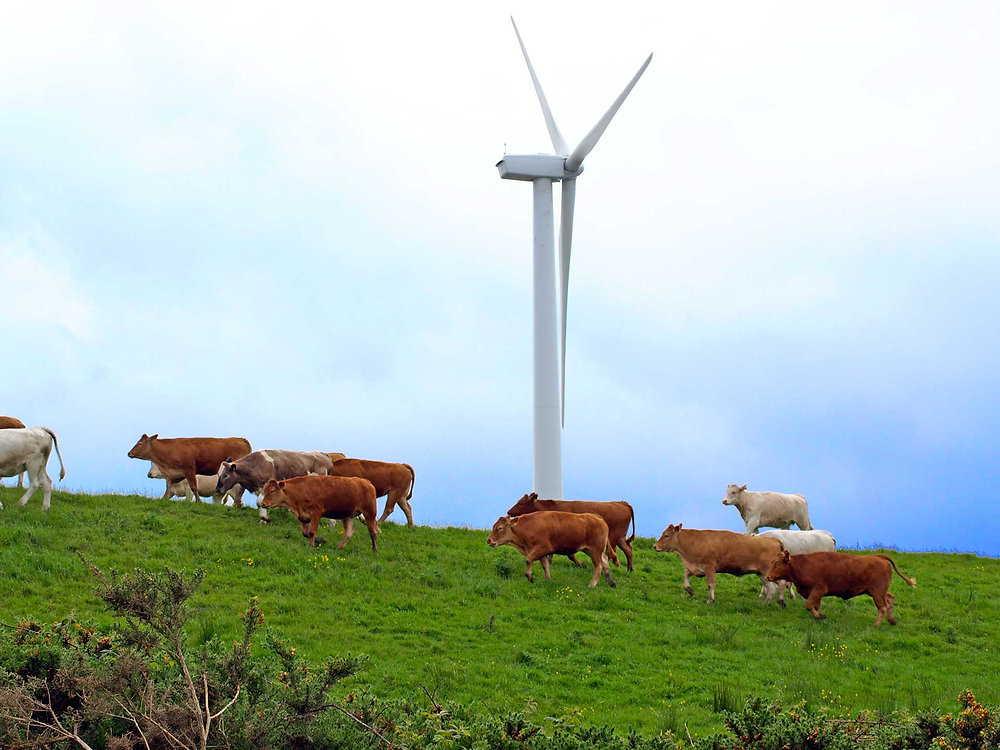 Can Land Underneath A Wind Turbine Still Be Used For Farming can-land-underneath-a-wind-turbine-still-be-used-for-farming