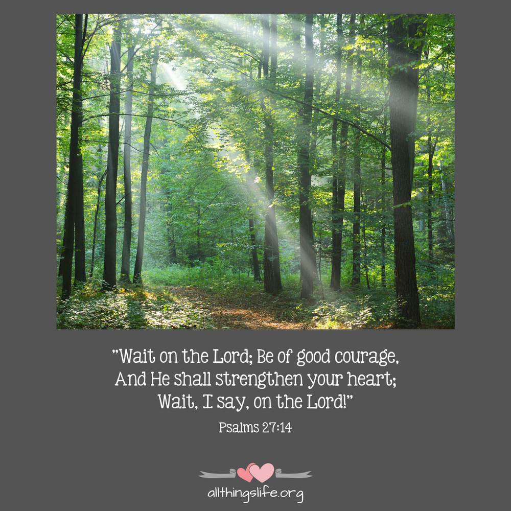 Waiting on God: Why It is Important to Wait on God