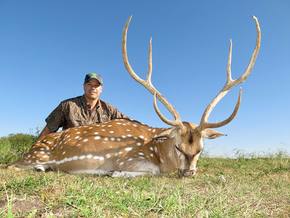 Axis Deer Hunts | Double Diamond