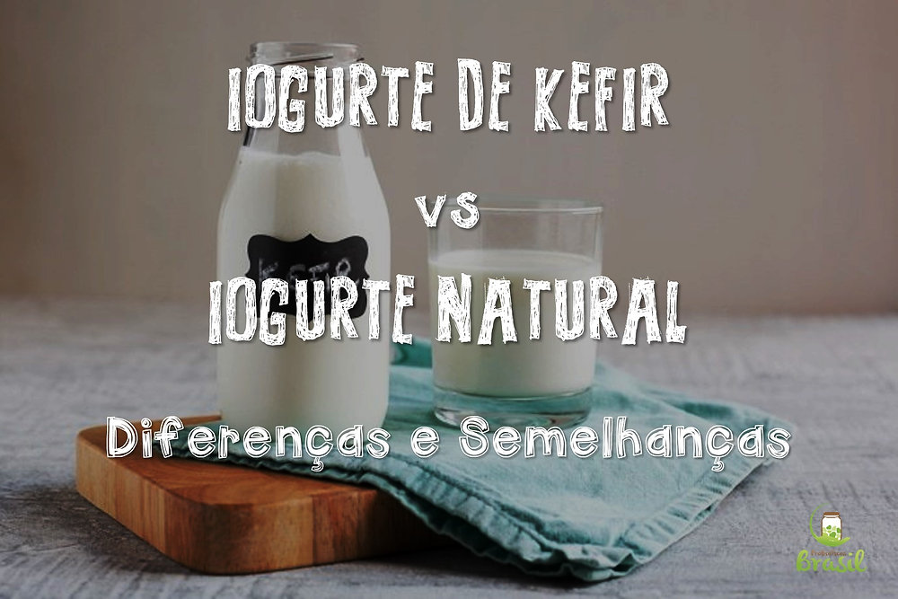 Qual a diferença entre o Iogurte Natural e o Kefir de Leite?