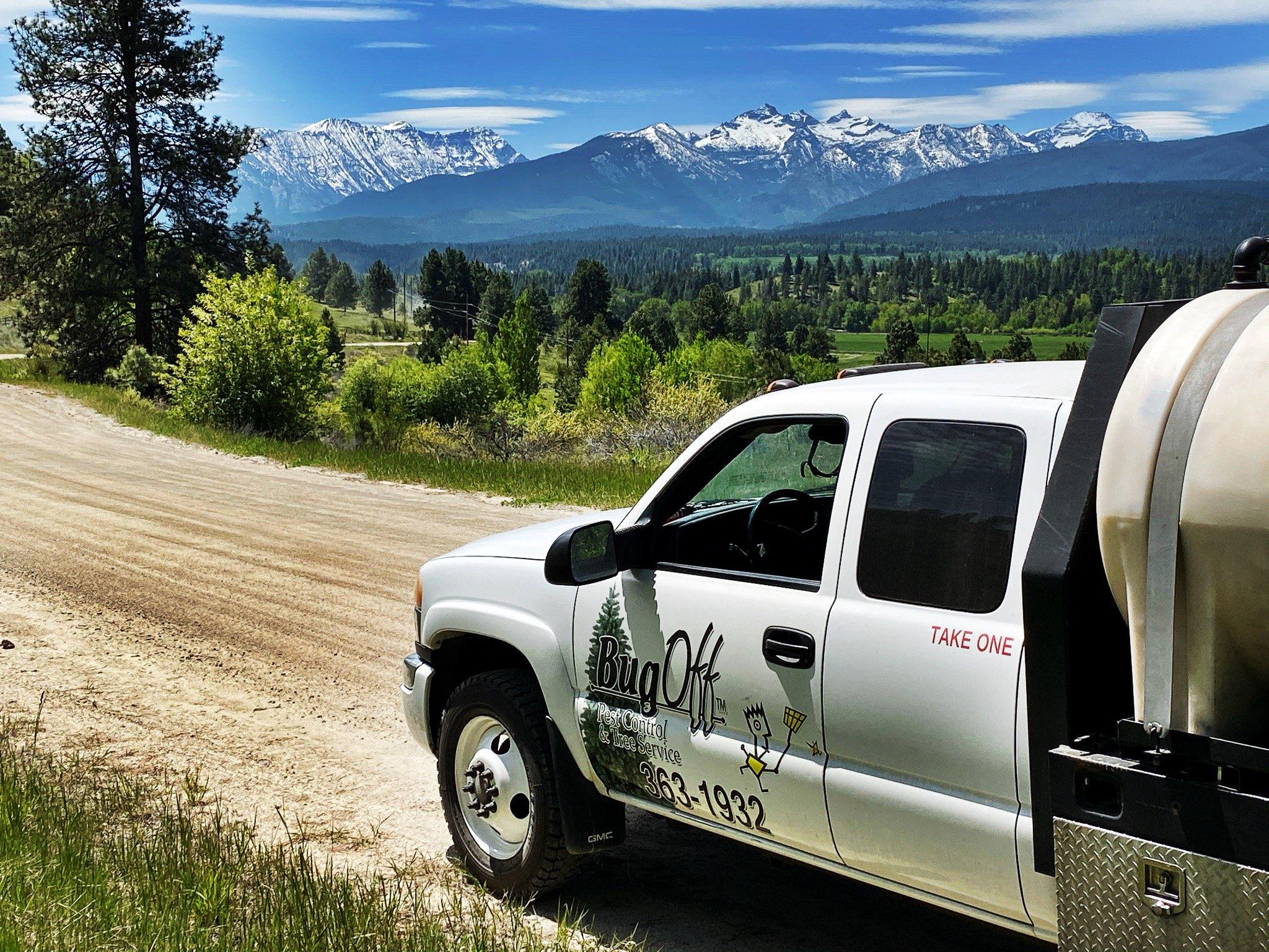 Pest Control | Bug Off Inc | United States