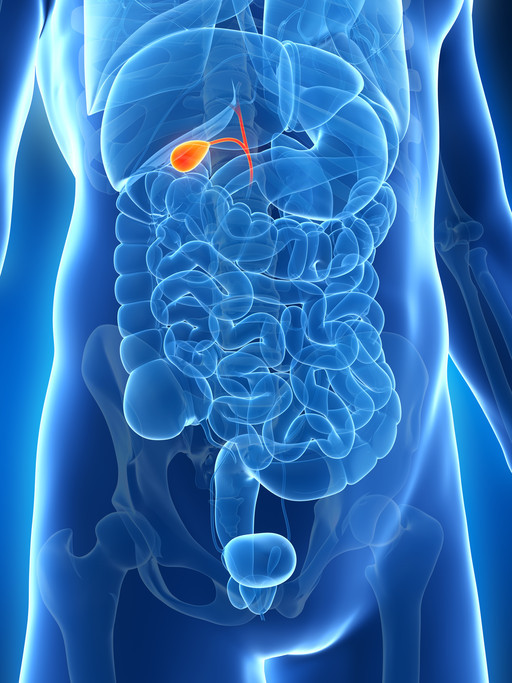 Calcoli alla cistifellea: ne parliamo con il dr. Coviello