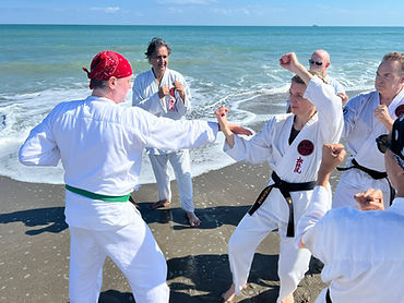 2024 Annual Florida Workout | Ueshiro Shorin Ryu N