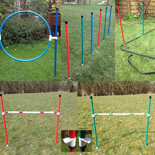 jaycee jumps agility