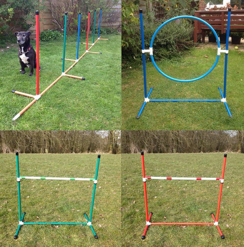 Deluxe Agility Starter Set | Mysite