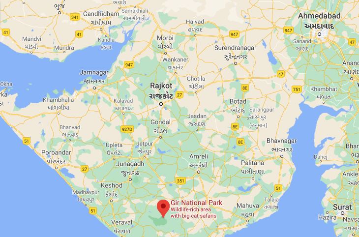 Gir National Park | A Complete Travel Guide to the Land of Asiatic Lions!