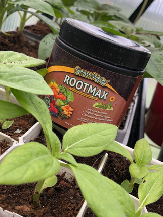 Buy Mycorrhizal Powder in Bulk Quantities Online | Order Sample Now