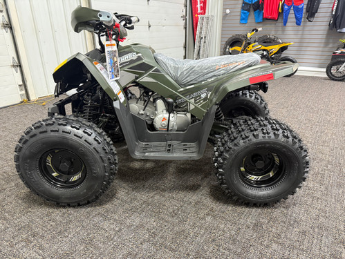 Trailhawk 10FI ATV (green) | Cw Powersports