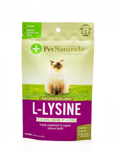 L-Lysine for Cats | HoeyRx