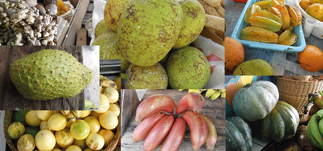 caribbean fruit