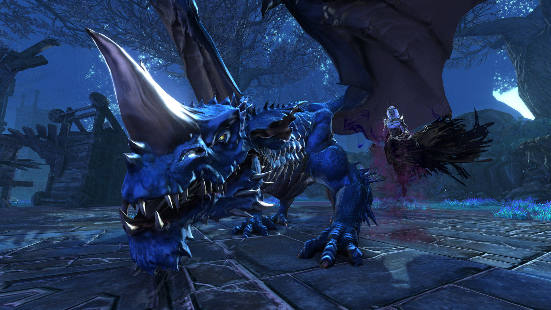 Sexy_Mage Gallery | neverwinter