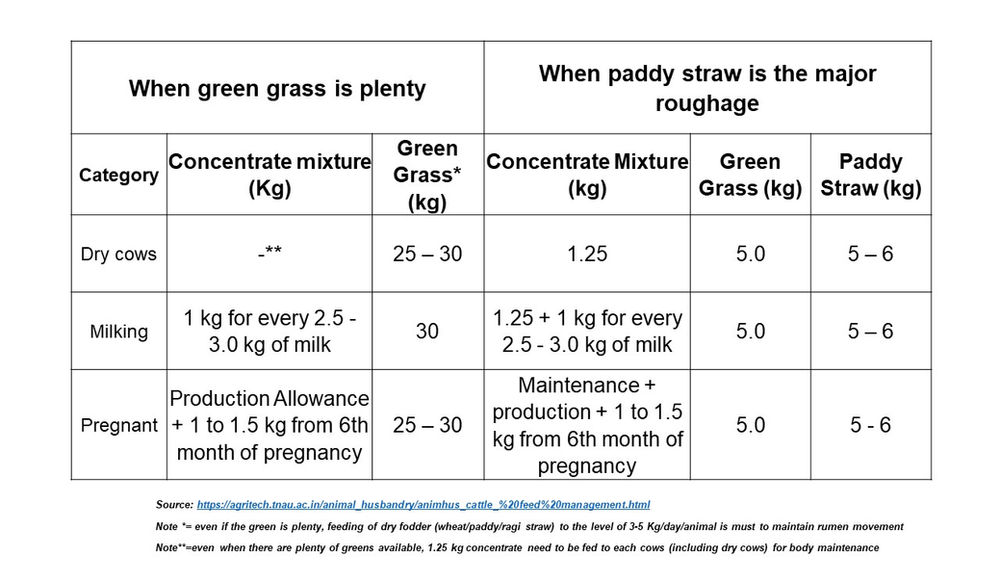 FEEDING MANAGEMENT OF DAIRY CATTLE - PART-2