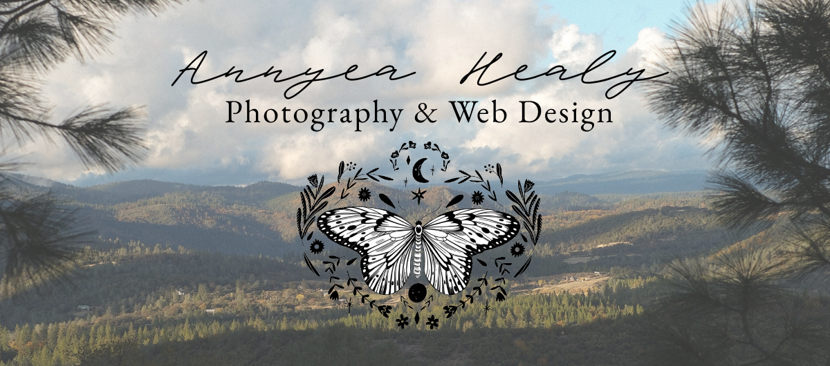 Website Design | Annyea Healy Photography & Web Design